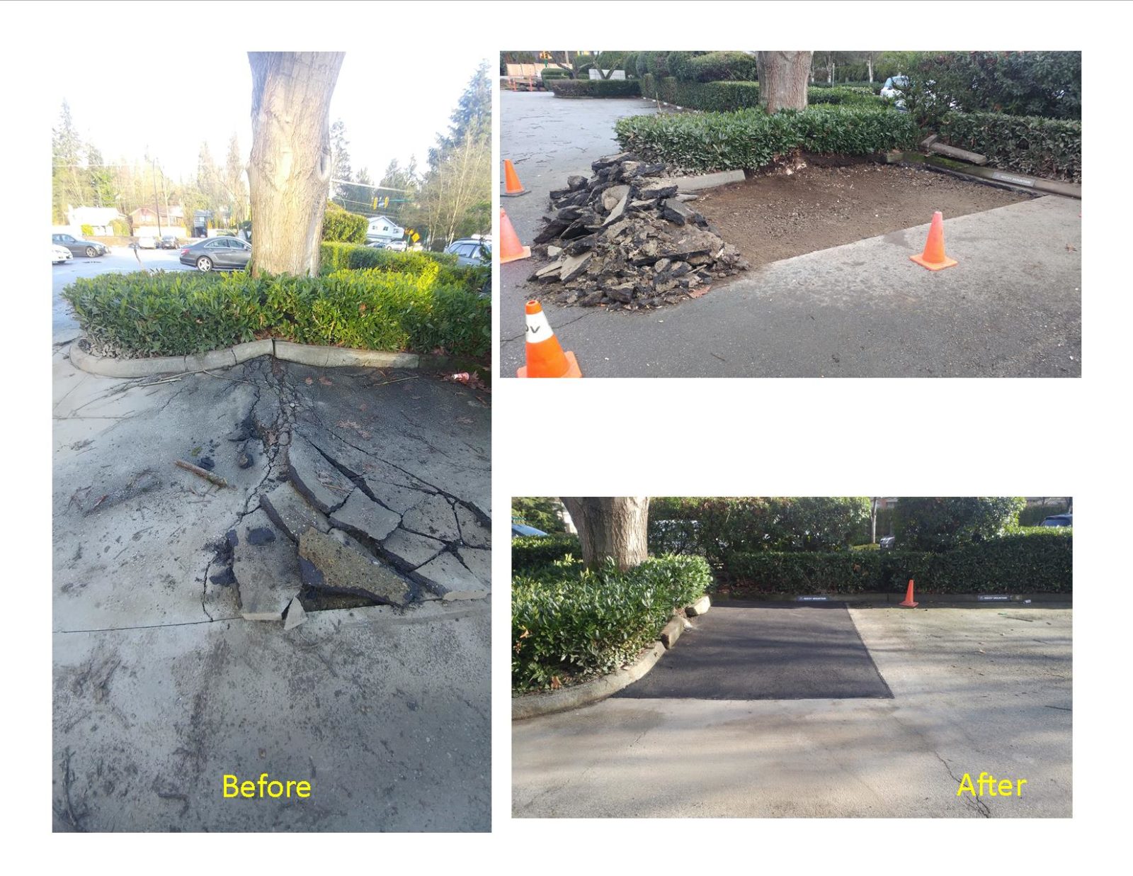 Home - Asphalt Paving and Repair